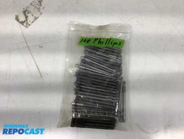Repocast.com® | (100) 4" Phillips screwdriver bits