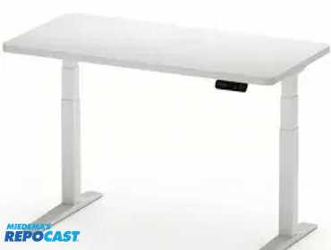 Repocast.com® | FLEXISPOT Standing Desk 48 Inches...