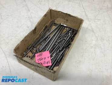 Repocast.com® | (100) Assorted Hex Shank Torx and...