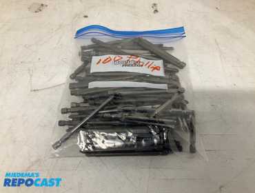 Repocast.com® | Lot of (100) Phillips driver bits