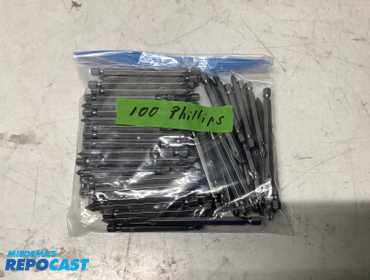Repocast.com® | (100) Phillips bits