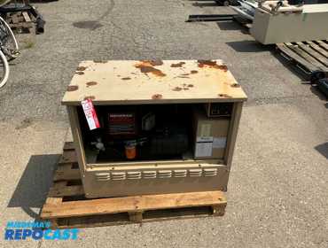 Repocast.com® | Generac Generator, 8000 Watts, natural...