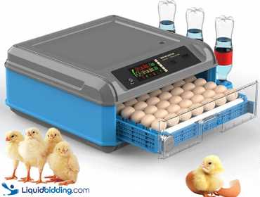 LiquidBidding | Incubators for Hatching Eggs - Egg...