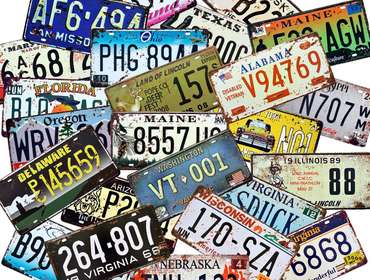 Bid Llama | Vintage Style Assorted US States Number...
