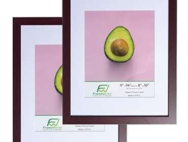 Bid Llama | FrameWorks 2-Pack, 11x14 Matted to 8x10...