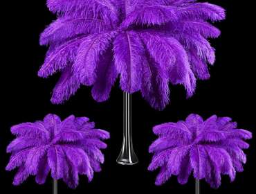 Bid Llama | Maitys 90 Pcs Large Natural Ostrich...