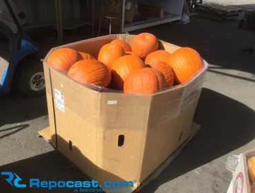 Repocast.com® | Gaylord box containing approximately ...