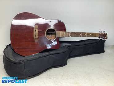 Repocast.com® | Rogue Fine Instruments acoustic...