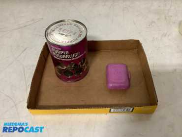 Repocast.com® | Arctic Cat snowmobile Purple Power...