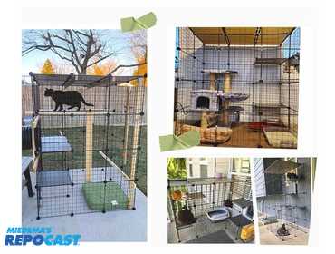 Repocast.com® | Eiiel DIY Large Cat Enclosure Outdoor ...