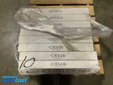 Repocast.com® | Skid lot of (8) boxes of Caesar...