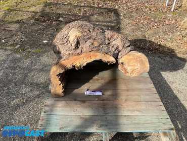 Repocast.com® | (1) chunk of wood. Unknown wood type...