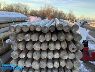 Repocast.com® | Lot of (50) 8’ x 3.5” Cedar Wood Posts