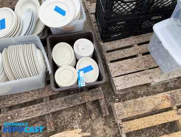 Repocast.com® | Box of plates and small oval plates