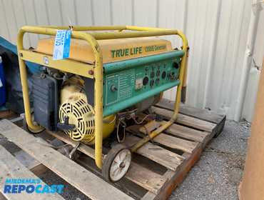 Repocast.com® | True Life 12000E Generator. Gasoline...