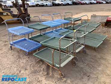 Repocast.com® | Lot of (9) Long two-level Carts