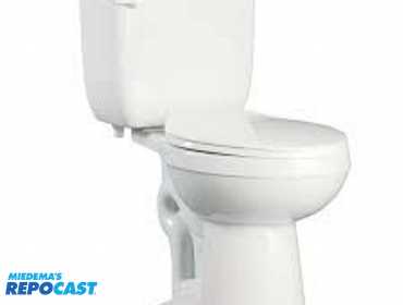 Repocast.com® | NEW PROFLO Jerritt 2-PC Toilet Set...