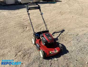 Repocast.com® | Briggs and Stratton toro 7.0 190cc...