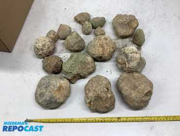 Repocast.com® | Lot of various shaped and sized geodes