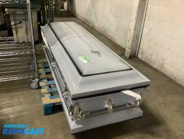 Repocast.com® | Lot of (1) grey casket with silver...