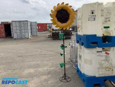Repocast.com® | Lot of (1) large sunflower lawn...