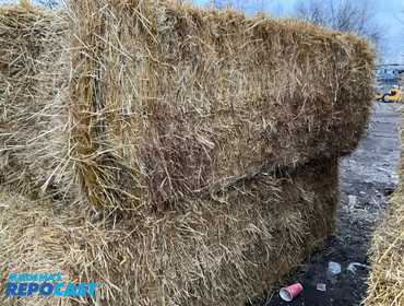 Repocast.com® | Lot of (2) Bundles of Hay 100”x45”x35”