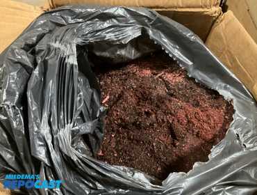Repocast.com® | Box of Red Mulch