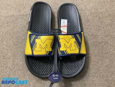 Repocast.com® | New University of Michigan Slides....