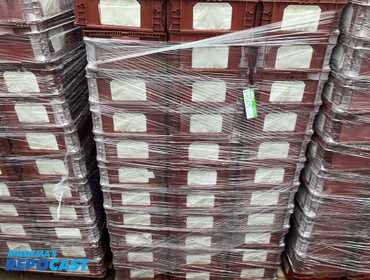 Repocast.com® | Skid Lot of (100) Red Totes, 15.5x7x14...