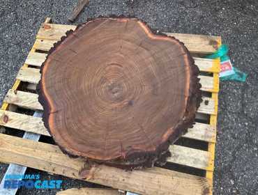 Repocast.com® | Lot of (2) walnut rounds....