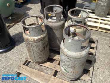 Repocast.com® | Skid of (4) STEEL 30 LB HILO propane...