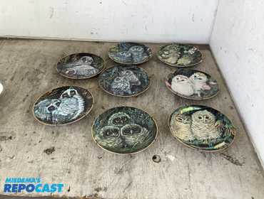 Repocast.com® | Set of (8) Baby Owls Collection...