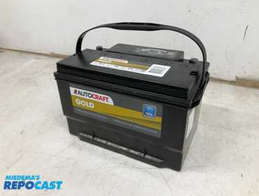 Repocast.com® | AutoCraft Gold Battery, Group Size 35...