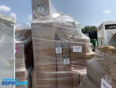 Repocast.com® | Skid lot of Napa gold filters...