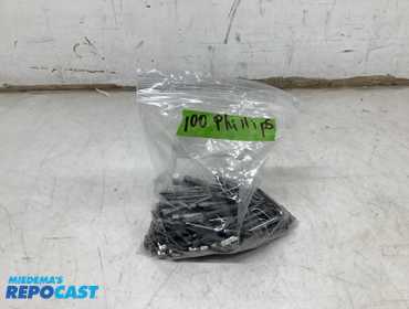 Repocast.com® | (100) Assorted Phillips bits- hex drive