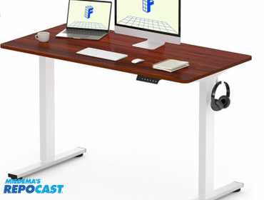 Repocast.com® | FlexiSpot QP1M-4824 48” Standing Desk
