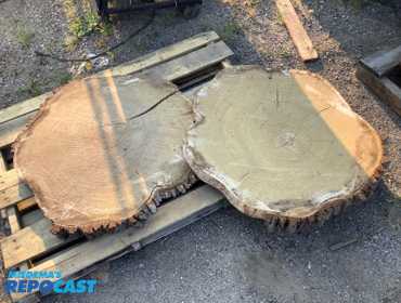 Repocast.com® | Lot of (2) Walnut Rounds