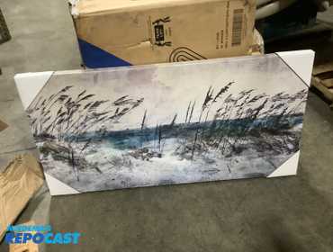 Repocast.com® | splash on canvas 4’x2’ painting