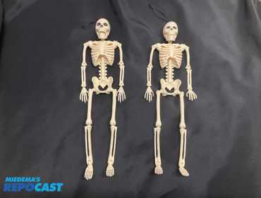 Repocast.com® | New Set of (2) Poseable Skeletons for...