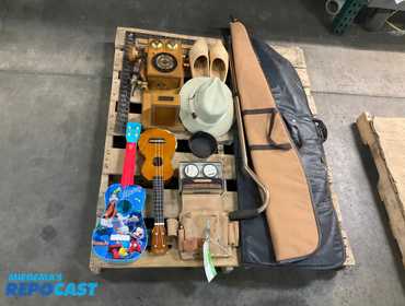 Repocast.com® | Skid lot of assorted items including...