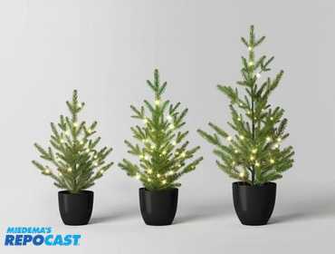 Repocast.com® | (3) Piece potted balsam fir led prelit...