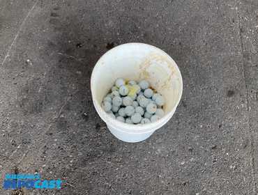 Repocast.com® | lot of 21 miscellaneous golf balls and...