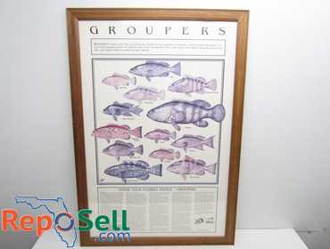 Reposell.com | Framed 1960's Grouper Chart 27 x 40"