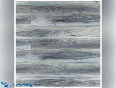 LiquidBidding | *Flint, MI* Approx. 713 Home...