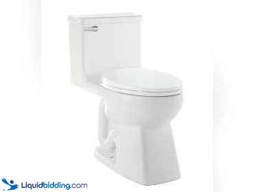 LiquidBidding | *Flint, MI* Glacier Bay Power Flush 12...