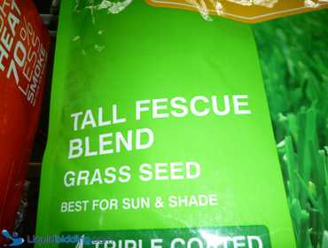 LiquidBidding | *Flint, MI* Vigoro 20 lbs. Tall Fescue...