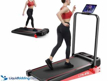 LiquidBidding | *Flint, MI* RHYTHM FUN Incline...