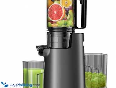 LiquidBidding | *Flint, MI* LQZ Cold Press Juicer,...