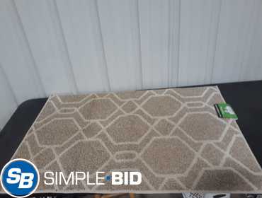 SimpleBid Inc. | New Generation Accent Rug - Pulled...