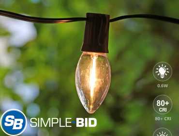 SimpleBid Inc. | Replacement LED Light Bulbs, 0.6W...